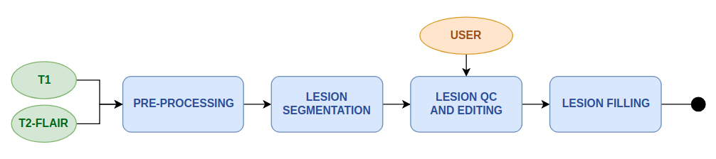 Lesion Segmentation Workflow